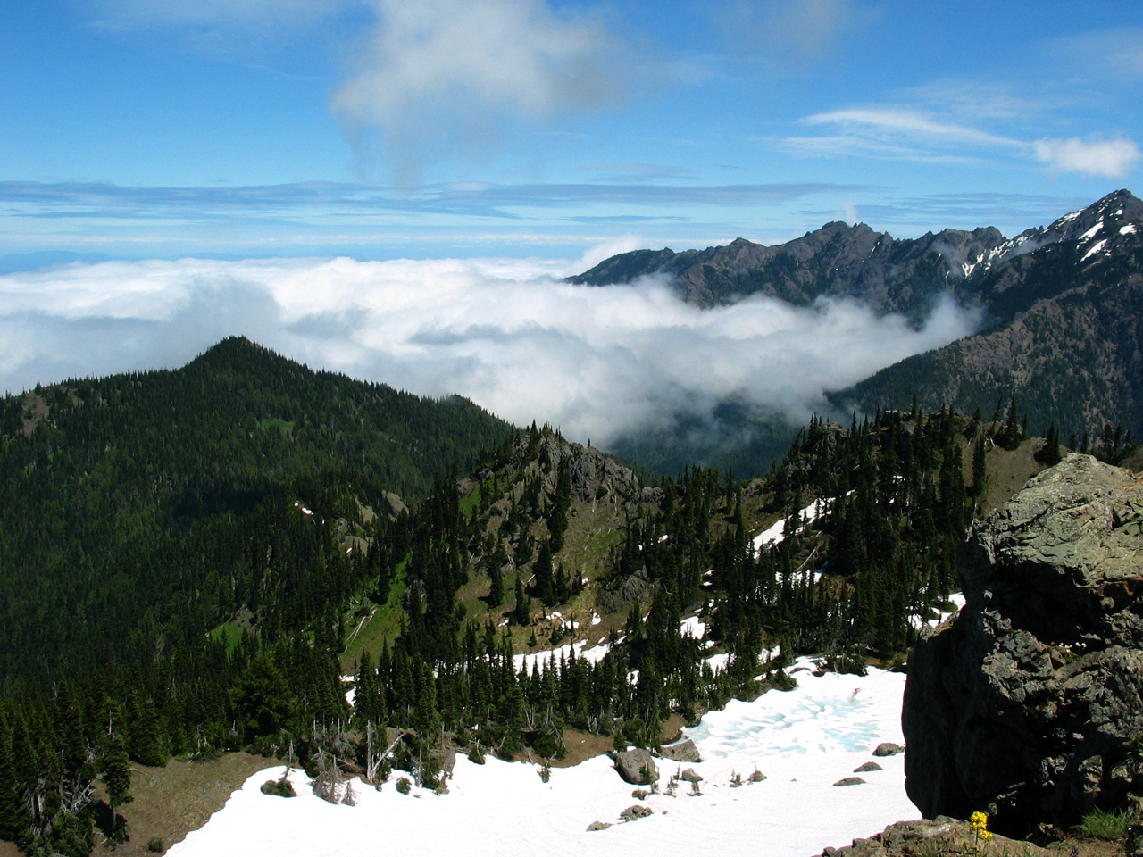 Hurricane Ridge | Pics4Learning