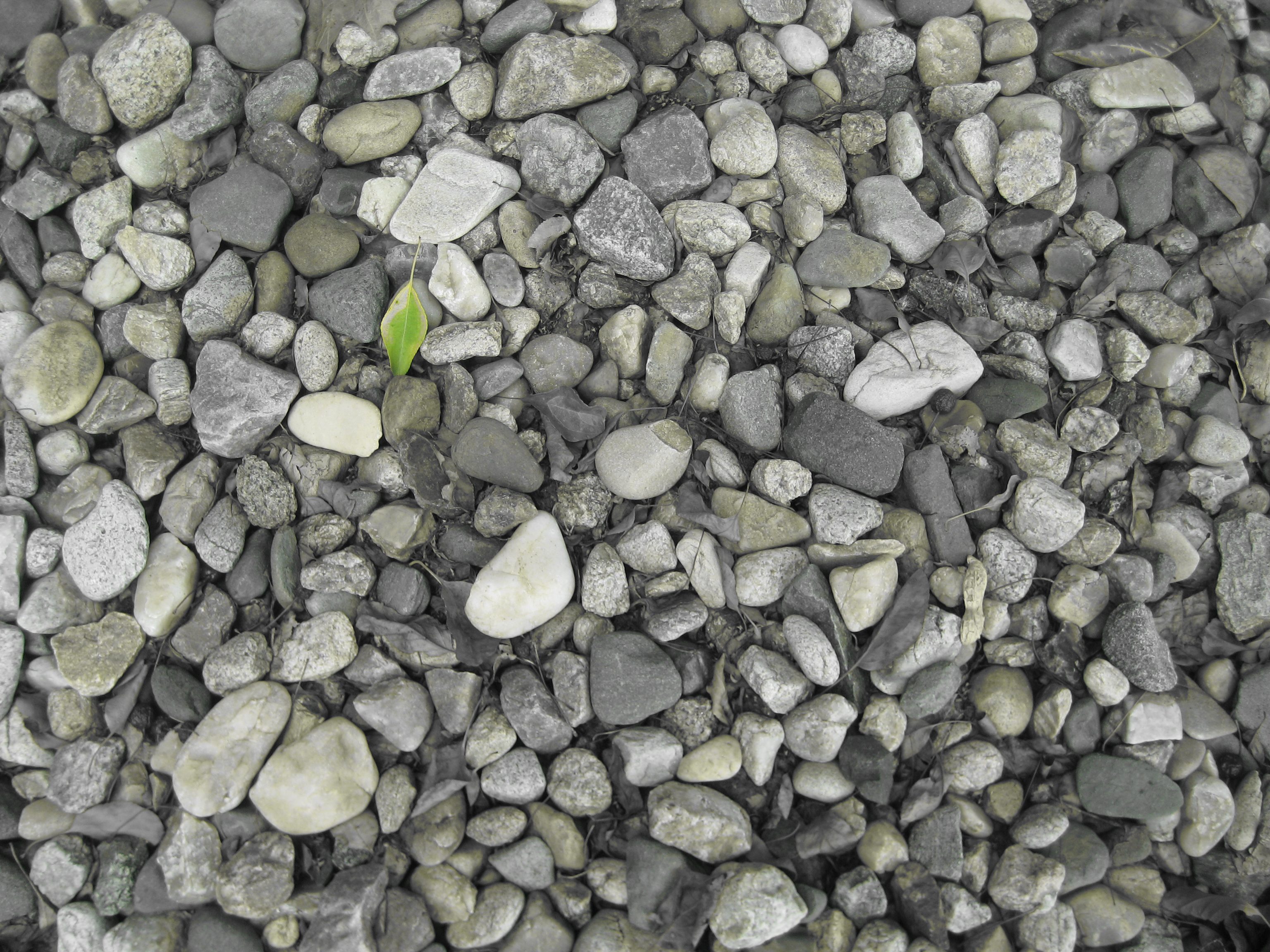 Texture rocks | Pics4Learning