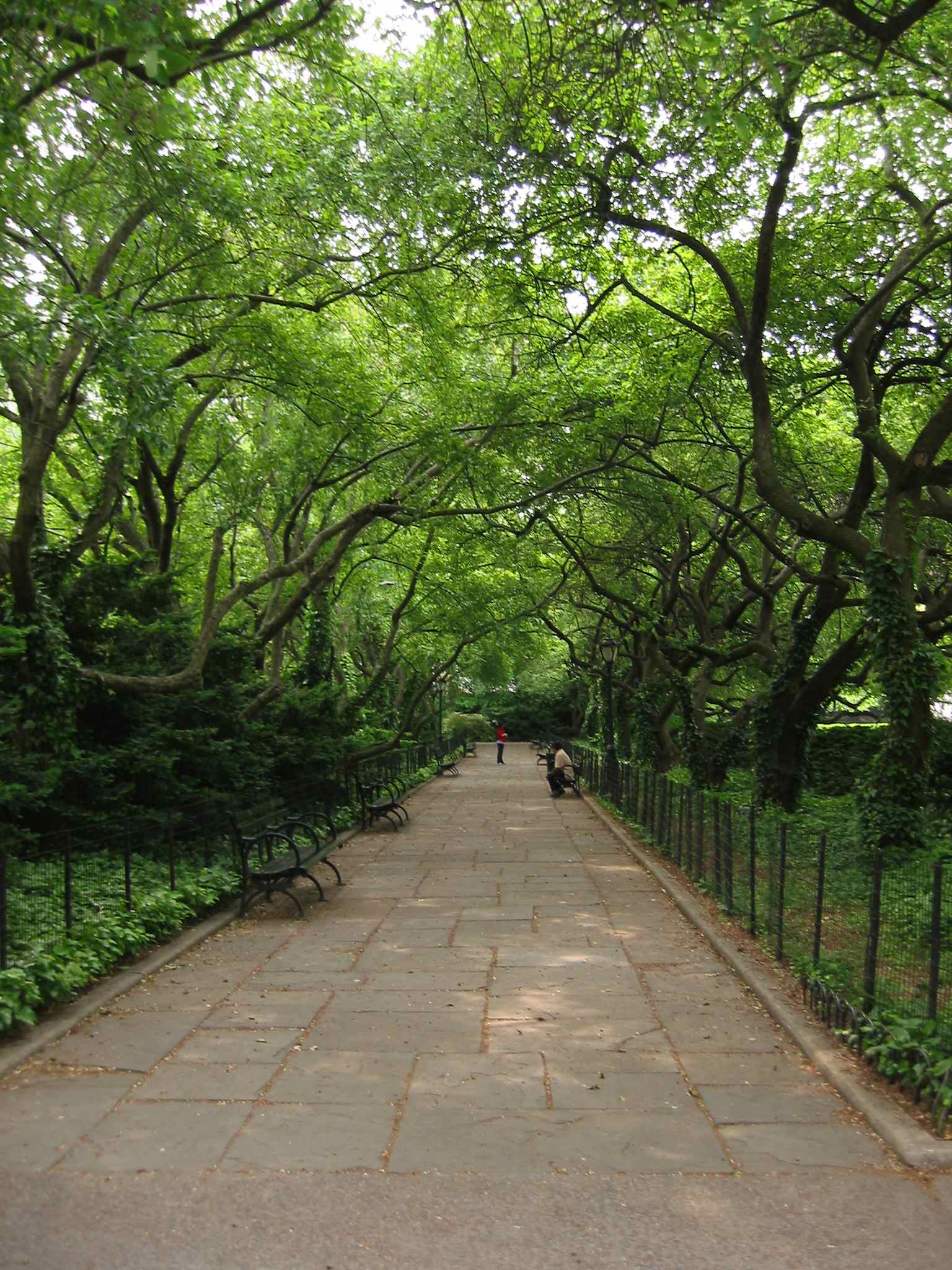 Conservatory Walkway | Pics4Learning