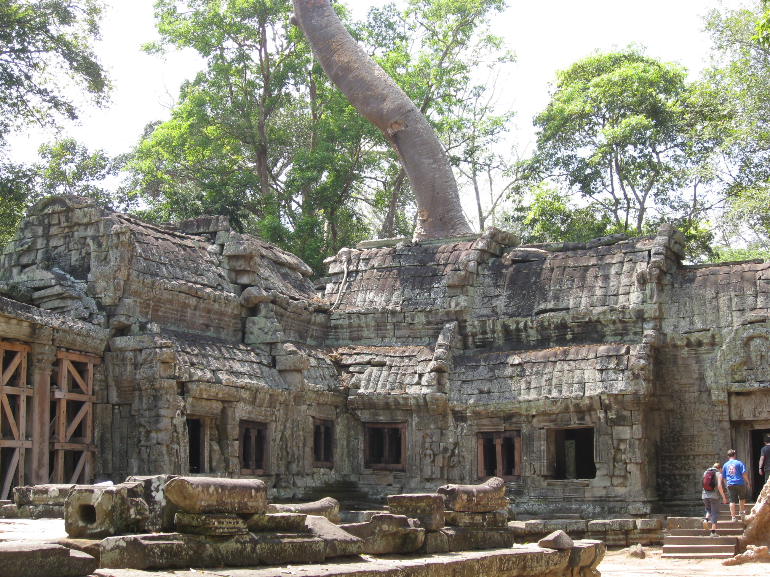 Ta Prohm | Pics4Learning