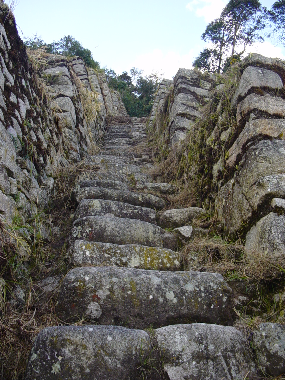 Steps up the terraces at Inti Pata | Pics4Learning