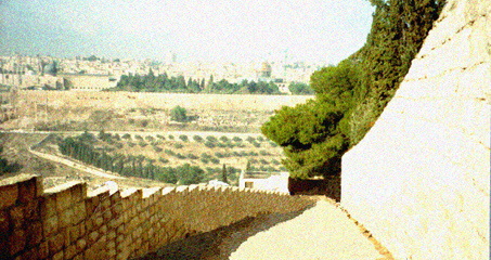 Palm Sunday Path Jerusalem Israel | Pics4Learning
