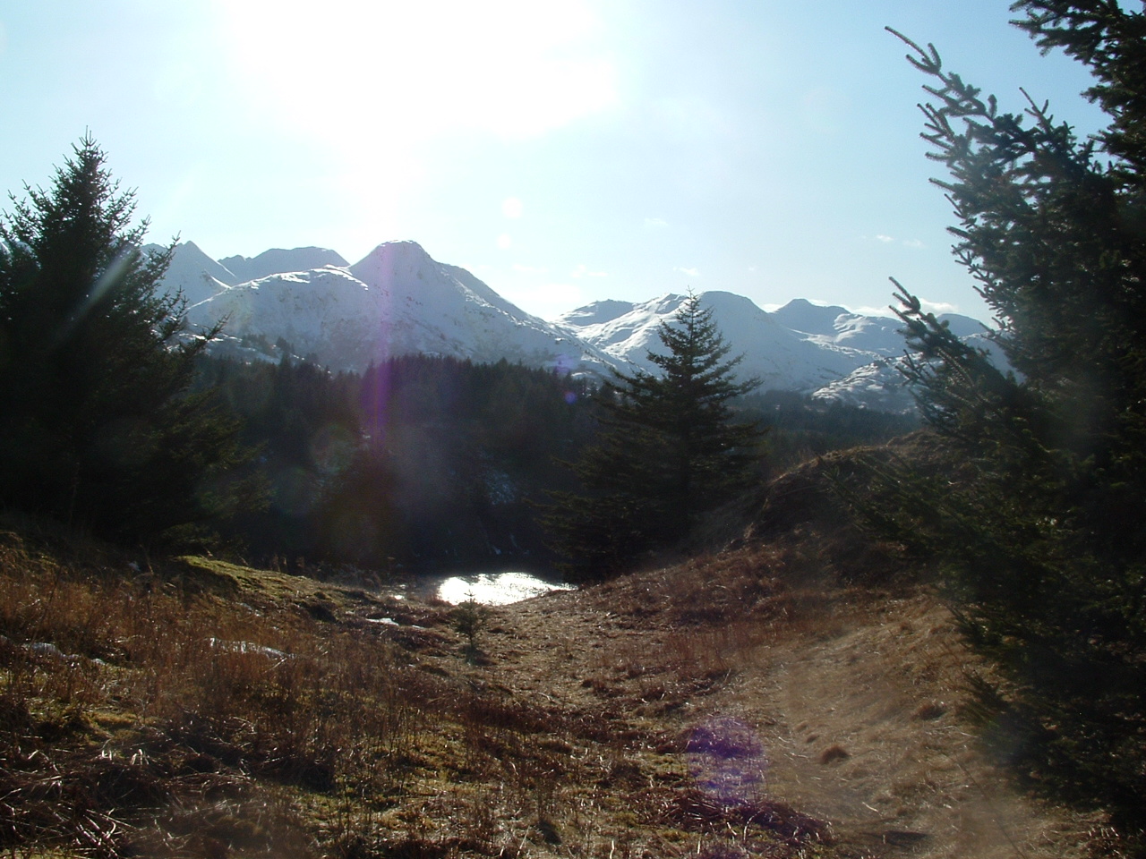 Looking west over Monashka Bay | Pics4Learning