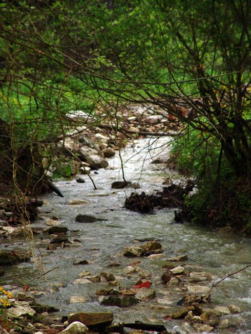 Creek | Pics4Learning