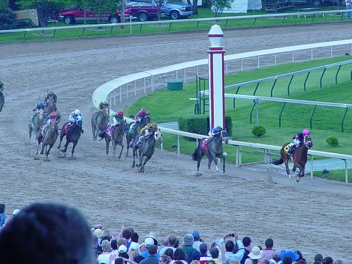 Kentucky Derby14 | Pics4Learning
