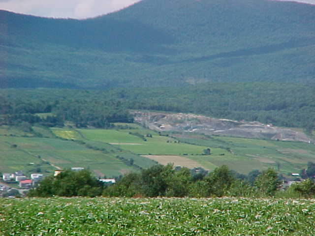 Long Lots | Pics4Learning