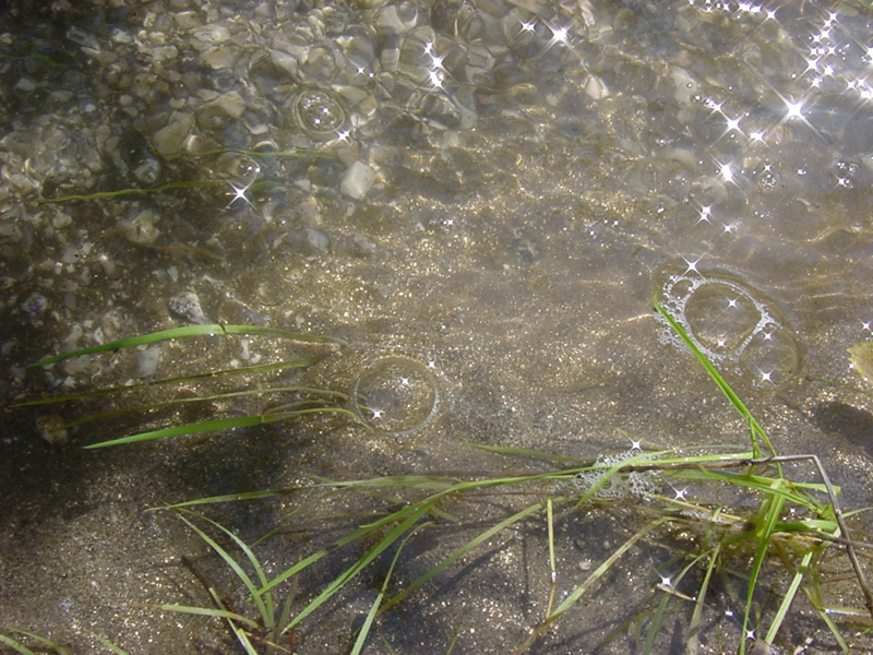 Mica in water | Pics4Learning