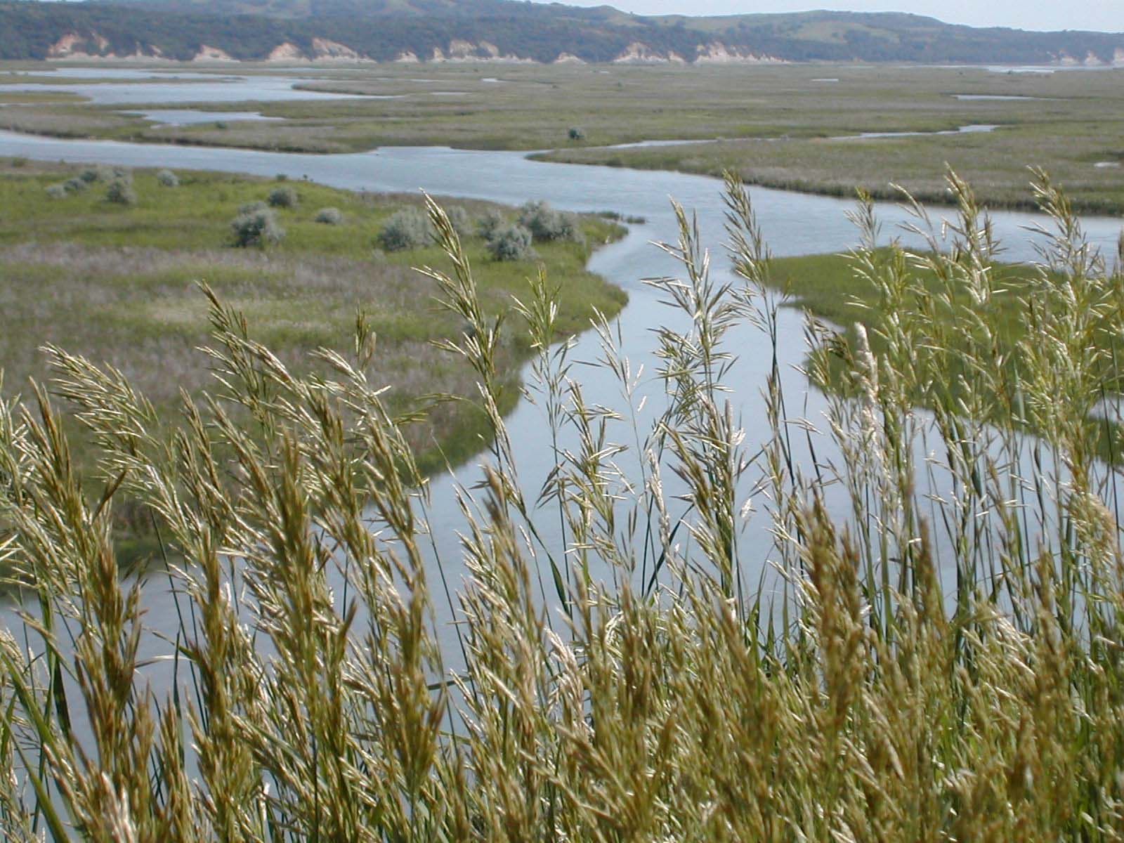 Missouri River | Pics4Learning