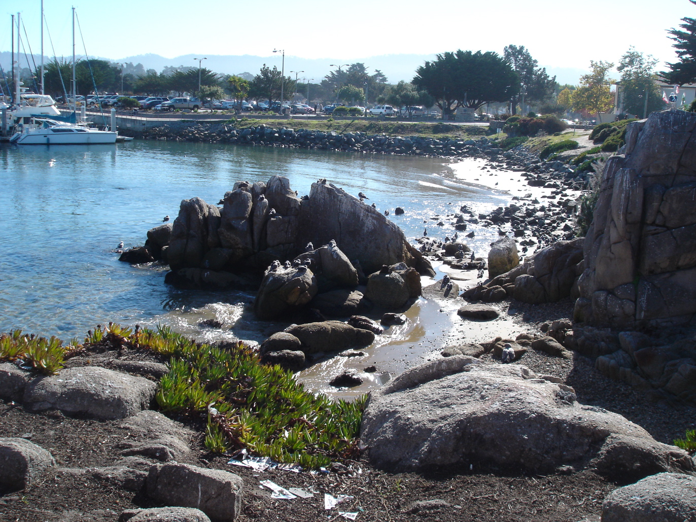 Monterey Bay at the Wharf | Pics4Learning