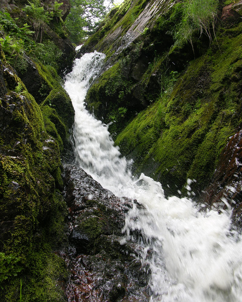 Morgan Creek Falls | Pics4Learning