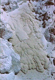 Lobate sand flow | Pics4Learning