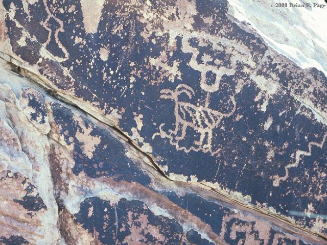 Native American petroglyphs, or rock art, from the Petrified Forest ...