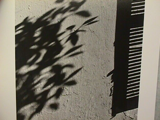 Shade | Pics4Learning