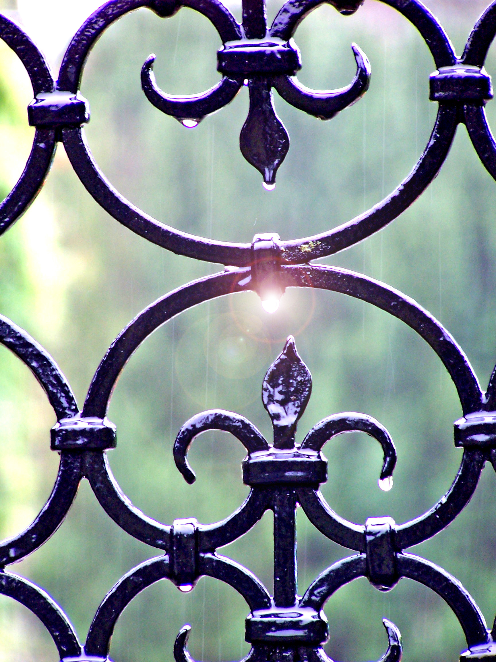 Rainy Day gate at Mount Stewart | Pics4Learning