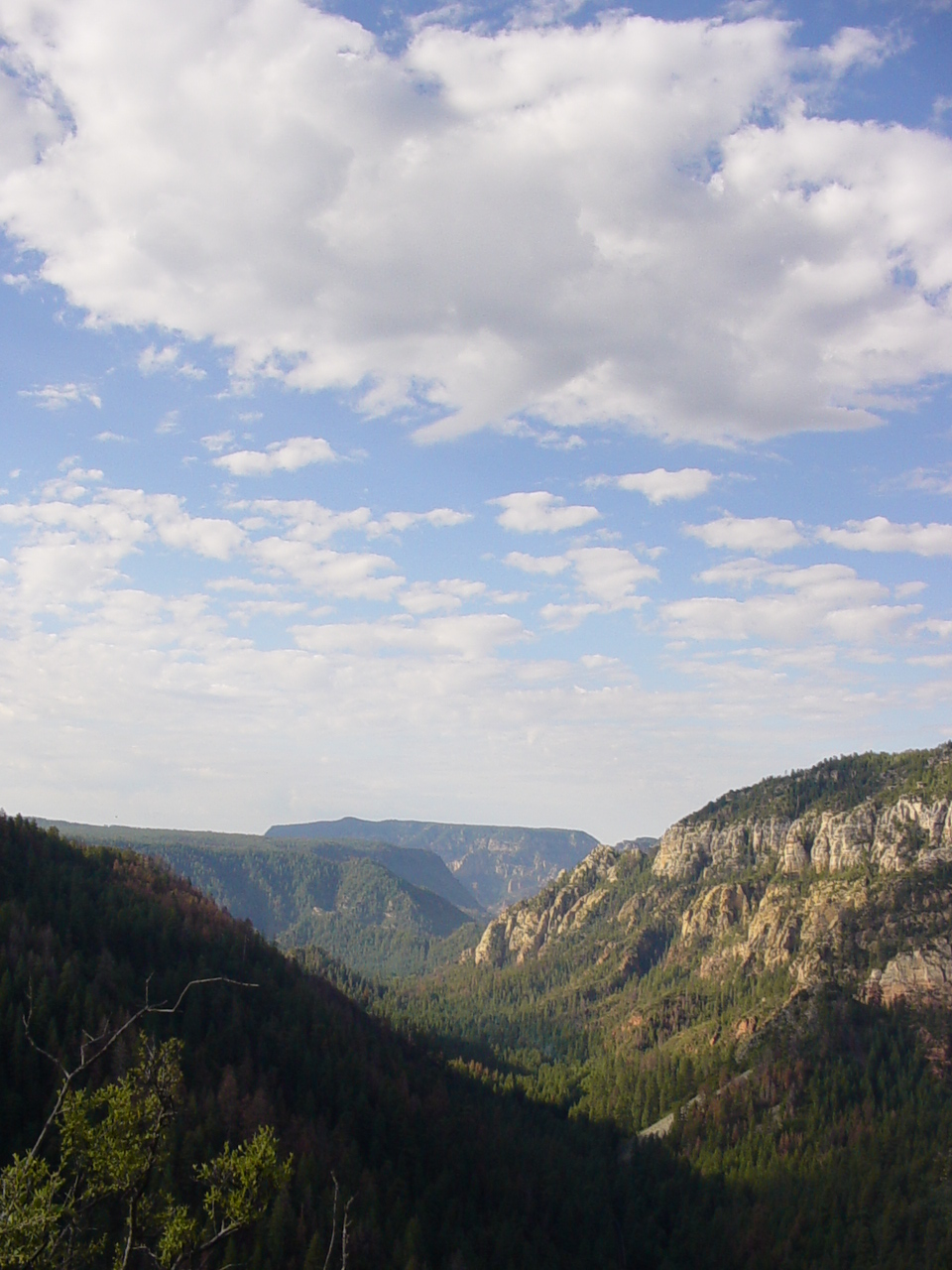 Oak Creek Canyon | Pics4Learning