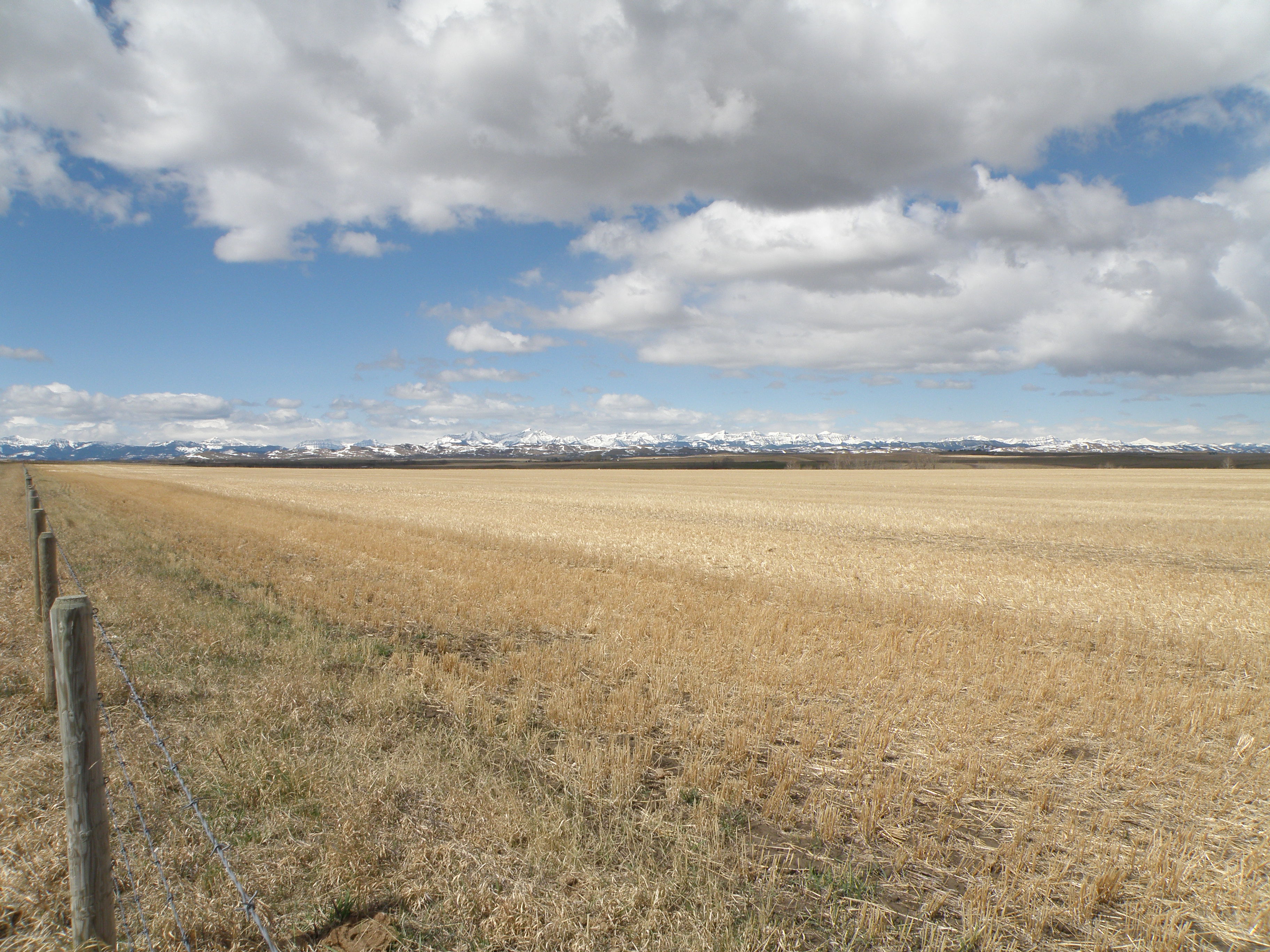 Longview | Pics4Learning