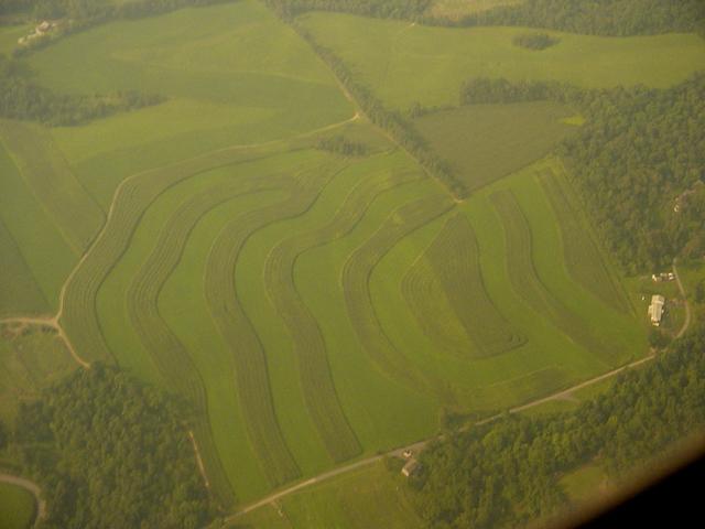 Farming Pattern | Pics4Learning