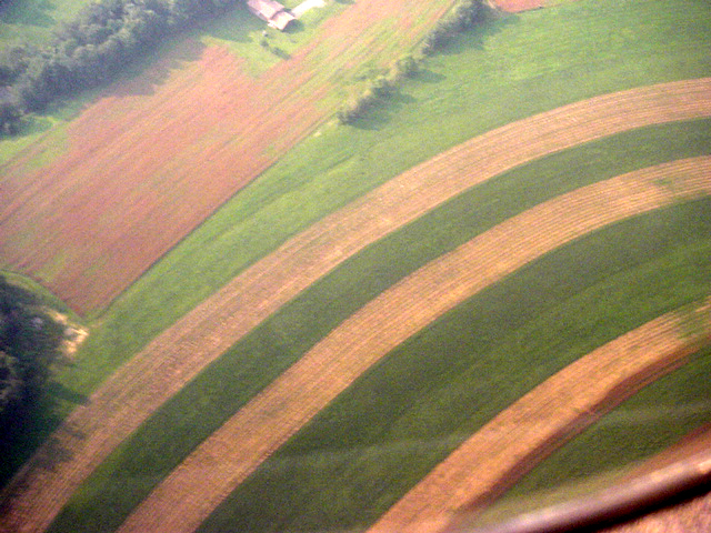 Farming Pattern | Pics4Learning