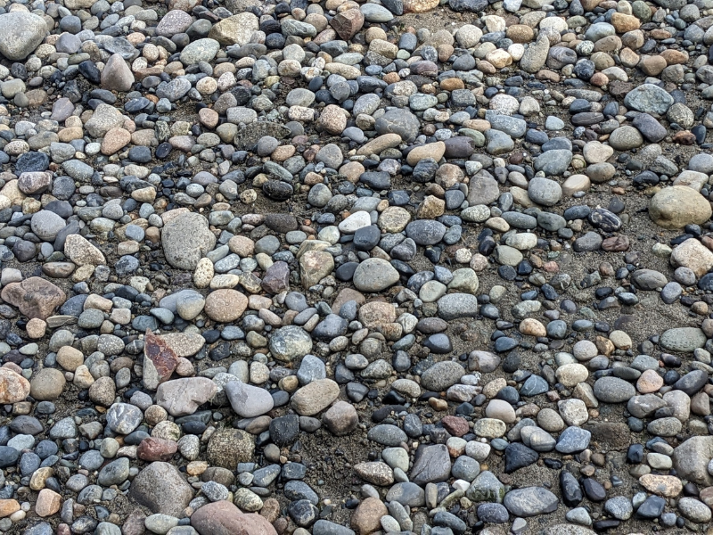 Puget Sound Beach | Pics4Learning