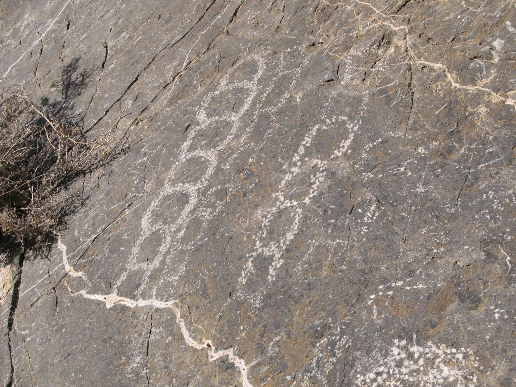 petroglyphs | Pics4Learning