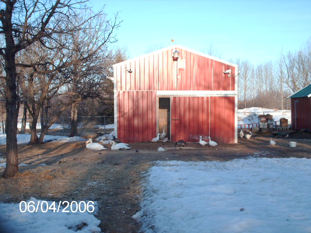 barn | Pics4Learning