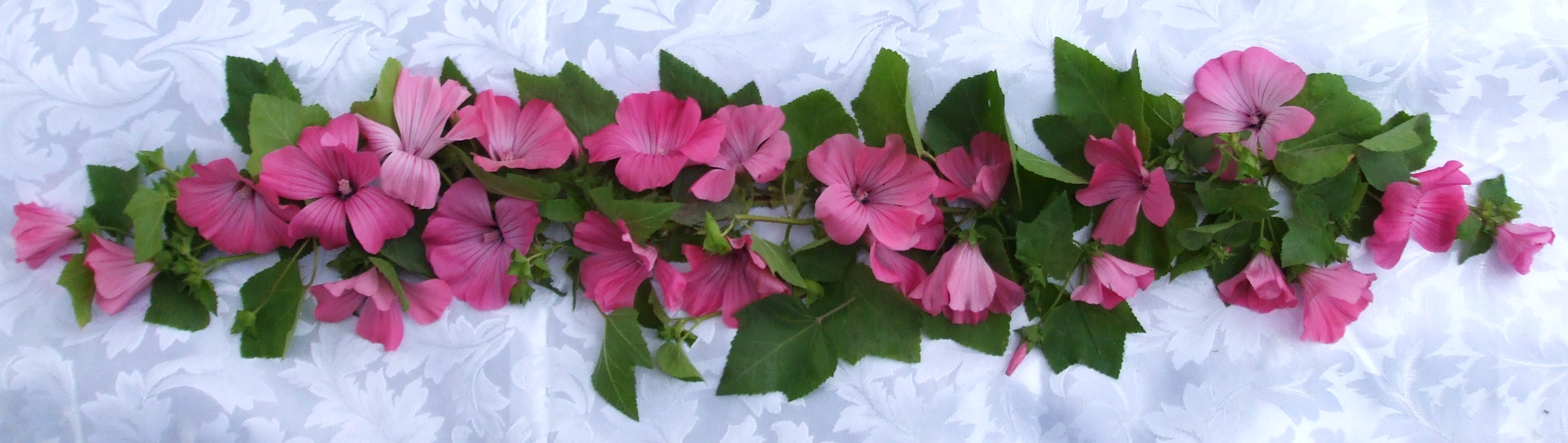 Garland, Flowers | Pics4Learning