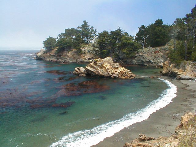 Point Lobos, California | Pics4Learning