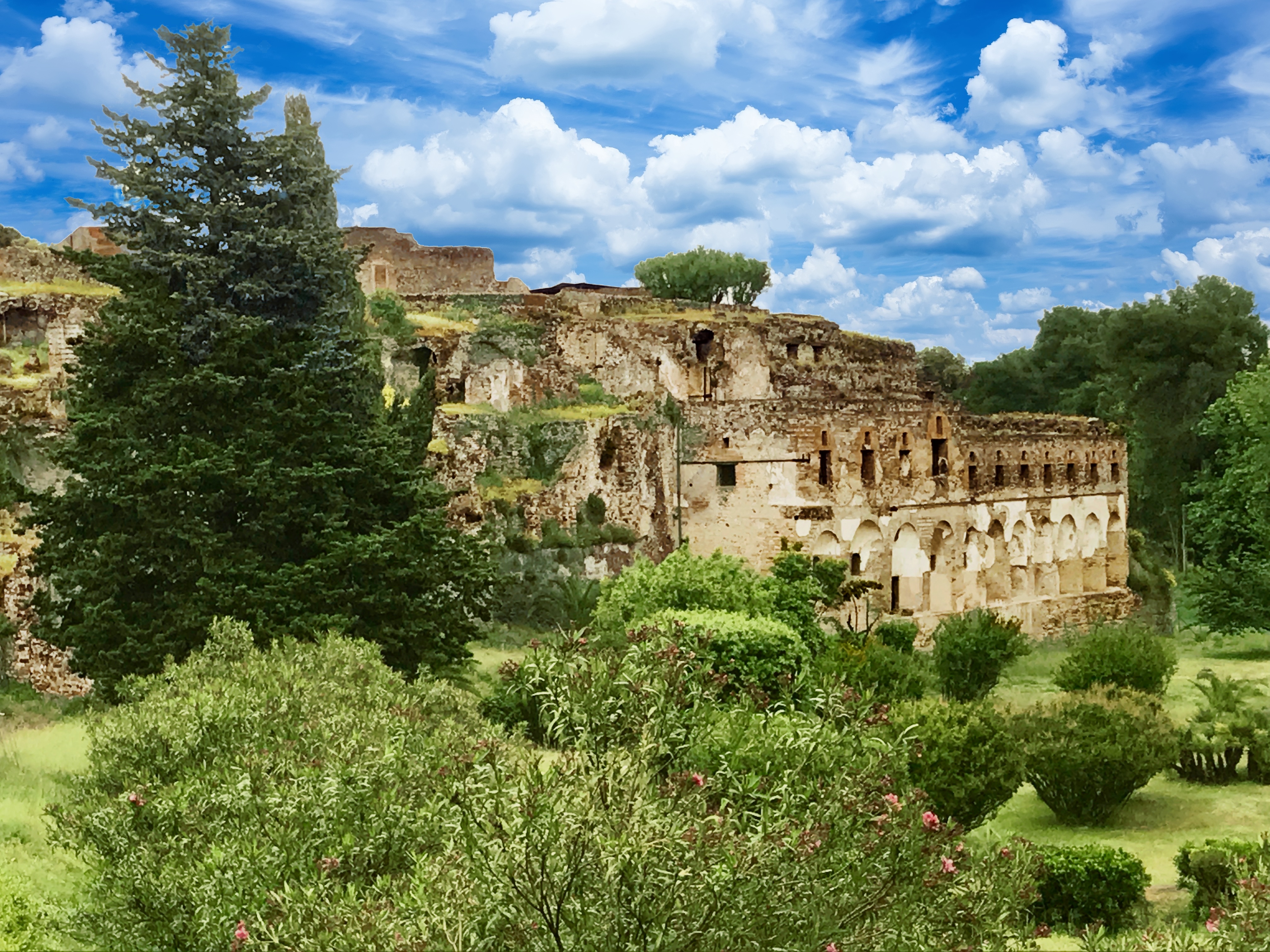 South side of the village of Pompeii | Pics4Learning