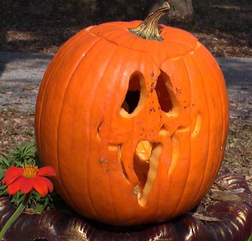 Pumpkin carved for Halloween | Pics4Learning