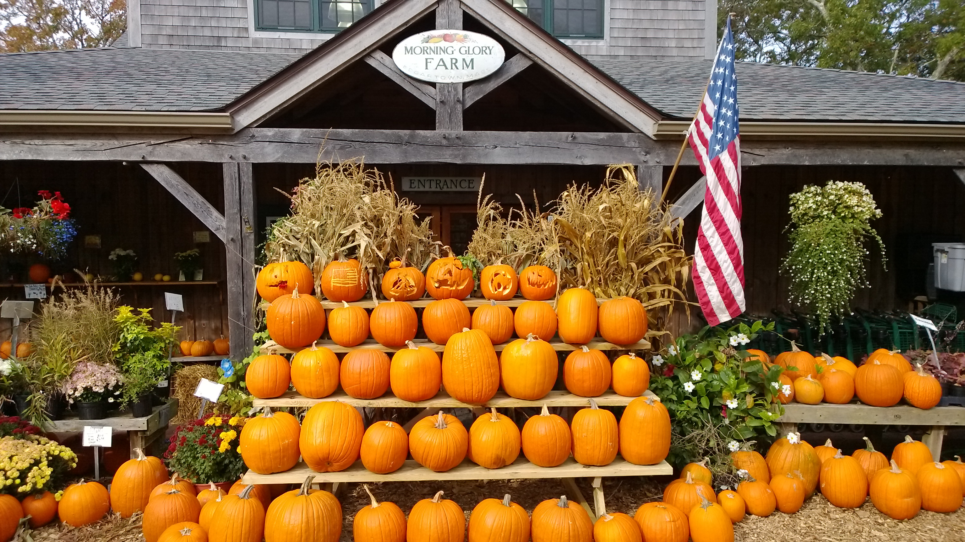 Happy Pumpkins 2 | Pics4Learning