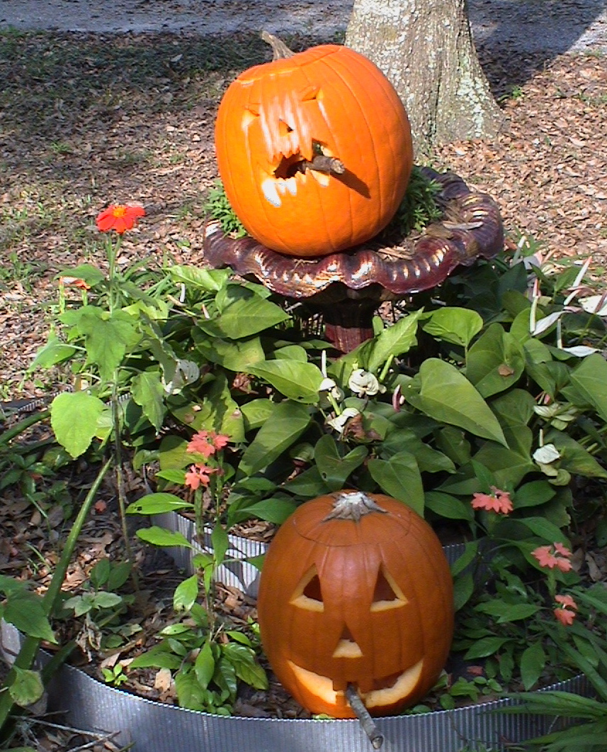 Pumpkin carved for Halloween | Pics4Learning