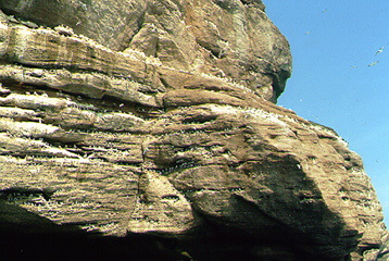 Rocks in Quebec Canada | Pics4Learning