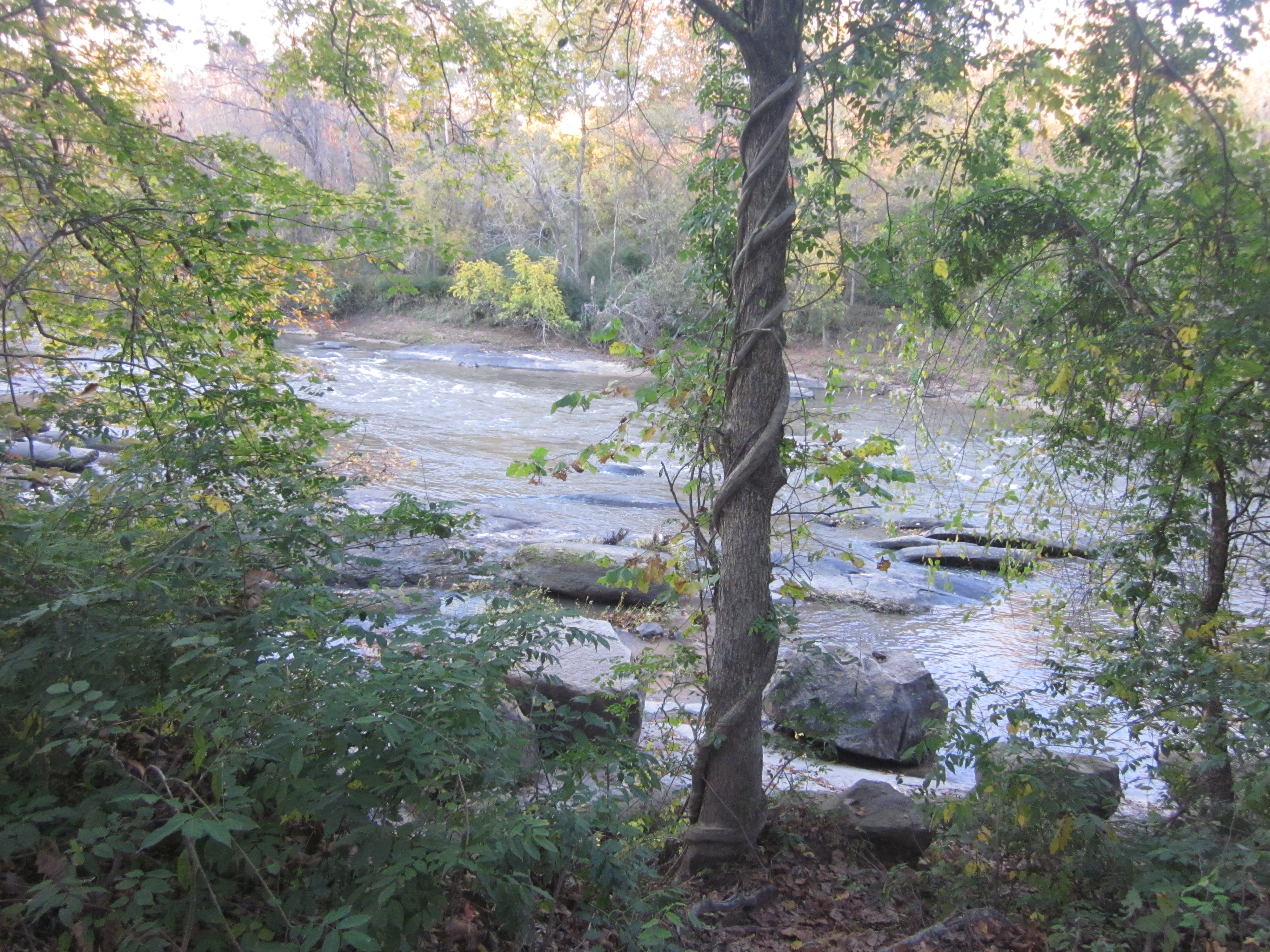 River view from path | Pics4Learning