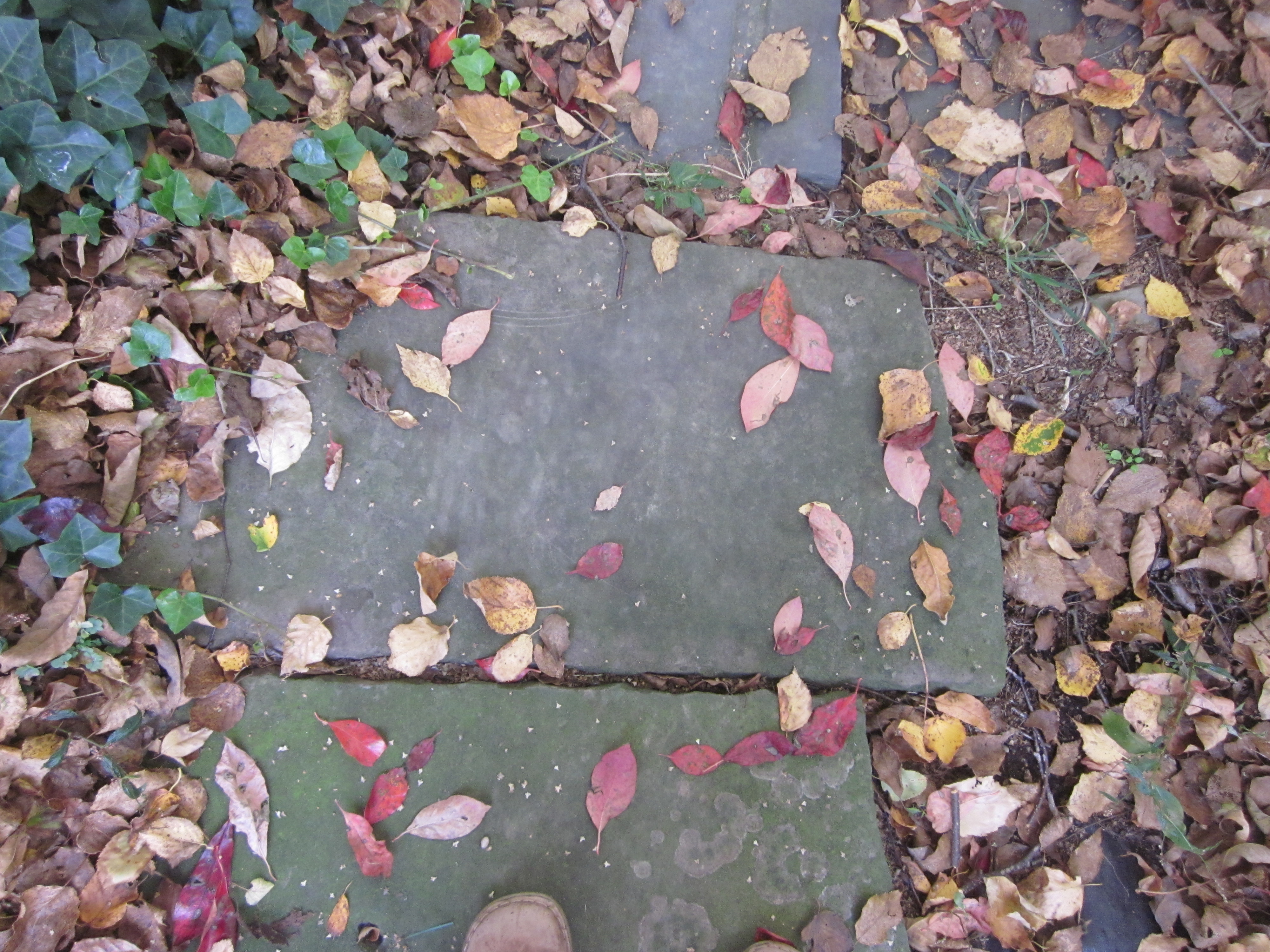 Rock path with fall leaves | Pics4Learning