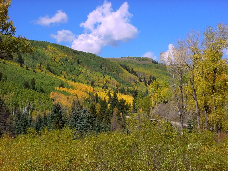 Fall color in the Rockies | Pics4Learning