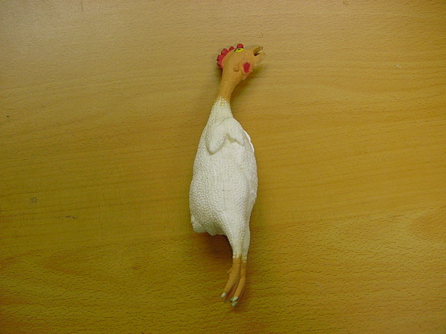Rubber Chicken | Pics4Learning