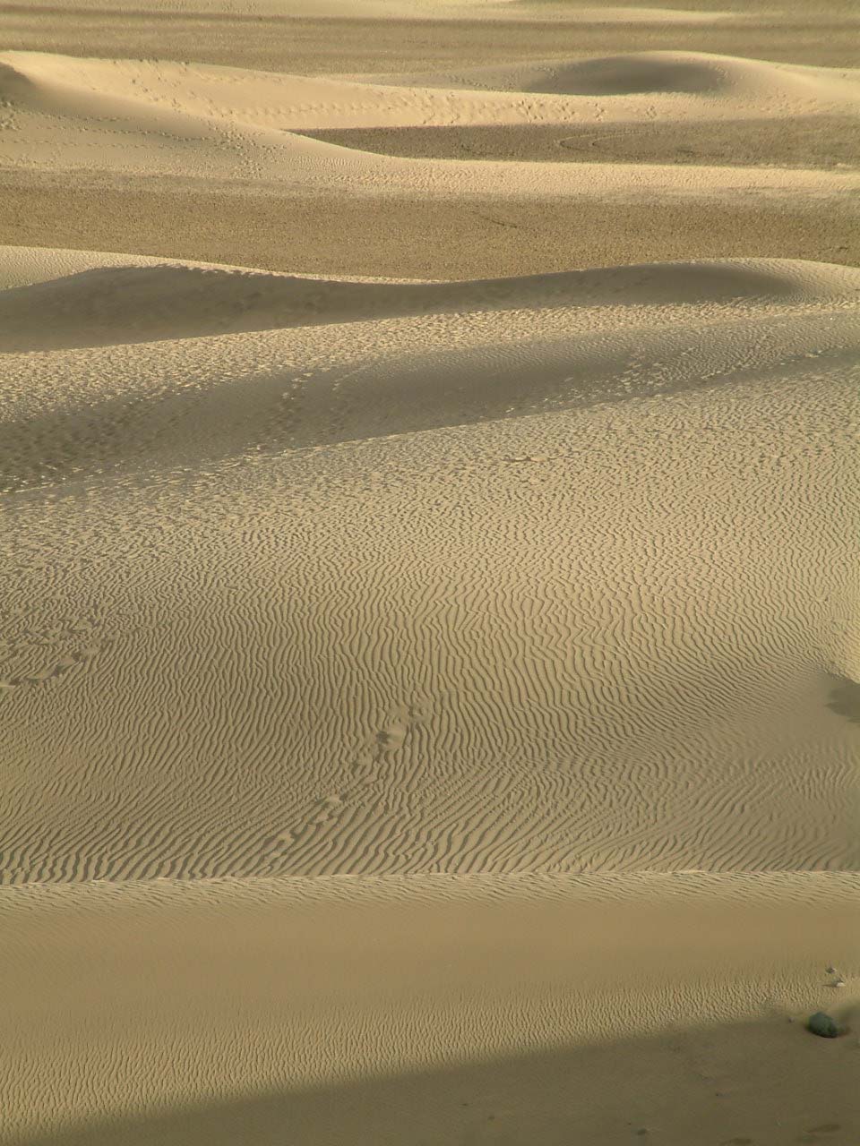 sahara sand | Pics4Learning