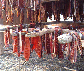 Alaskan salmon drying on racks | Pics4Learning