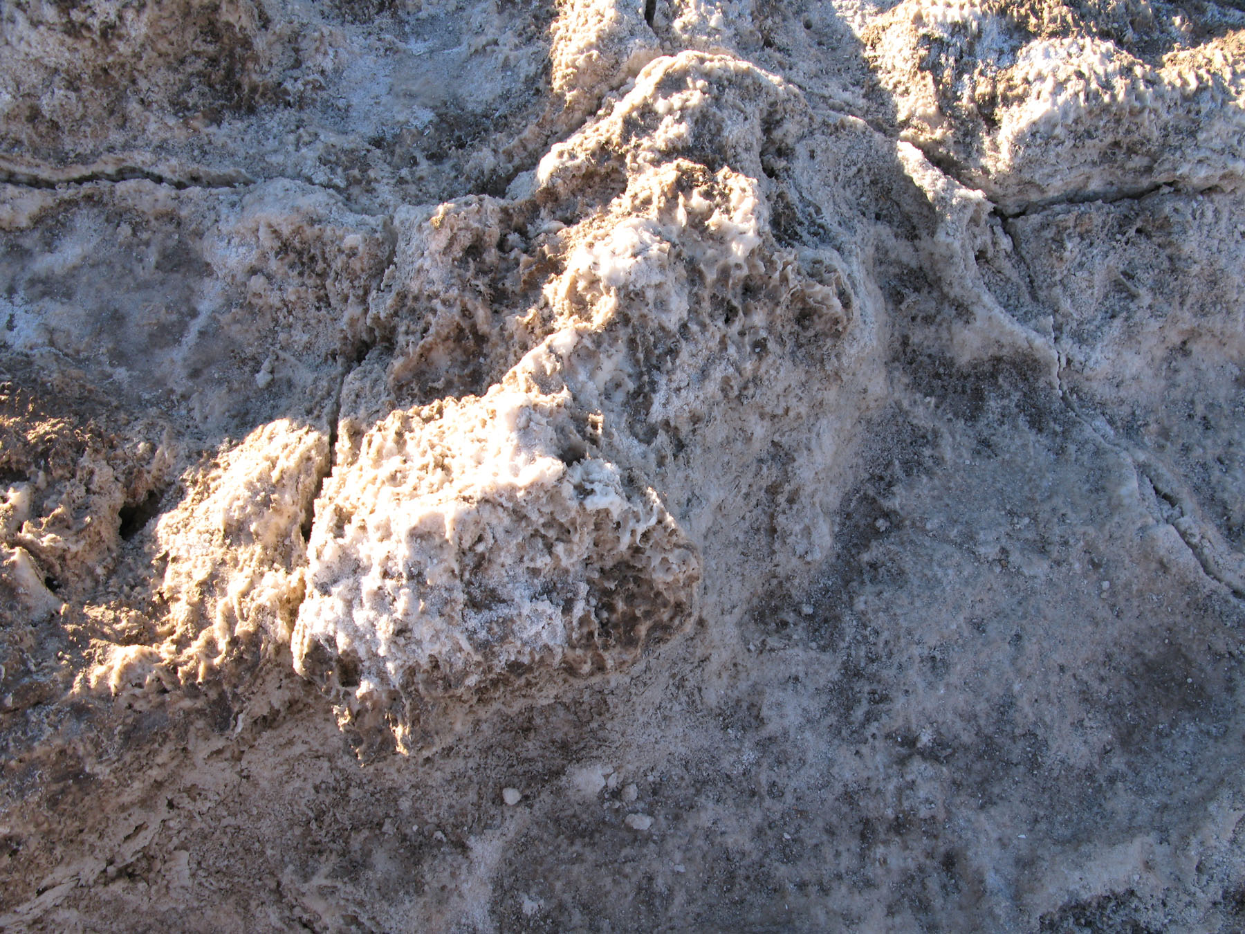 salt formation | Pics4Learning