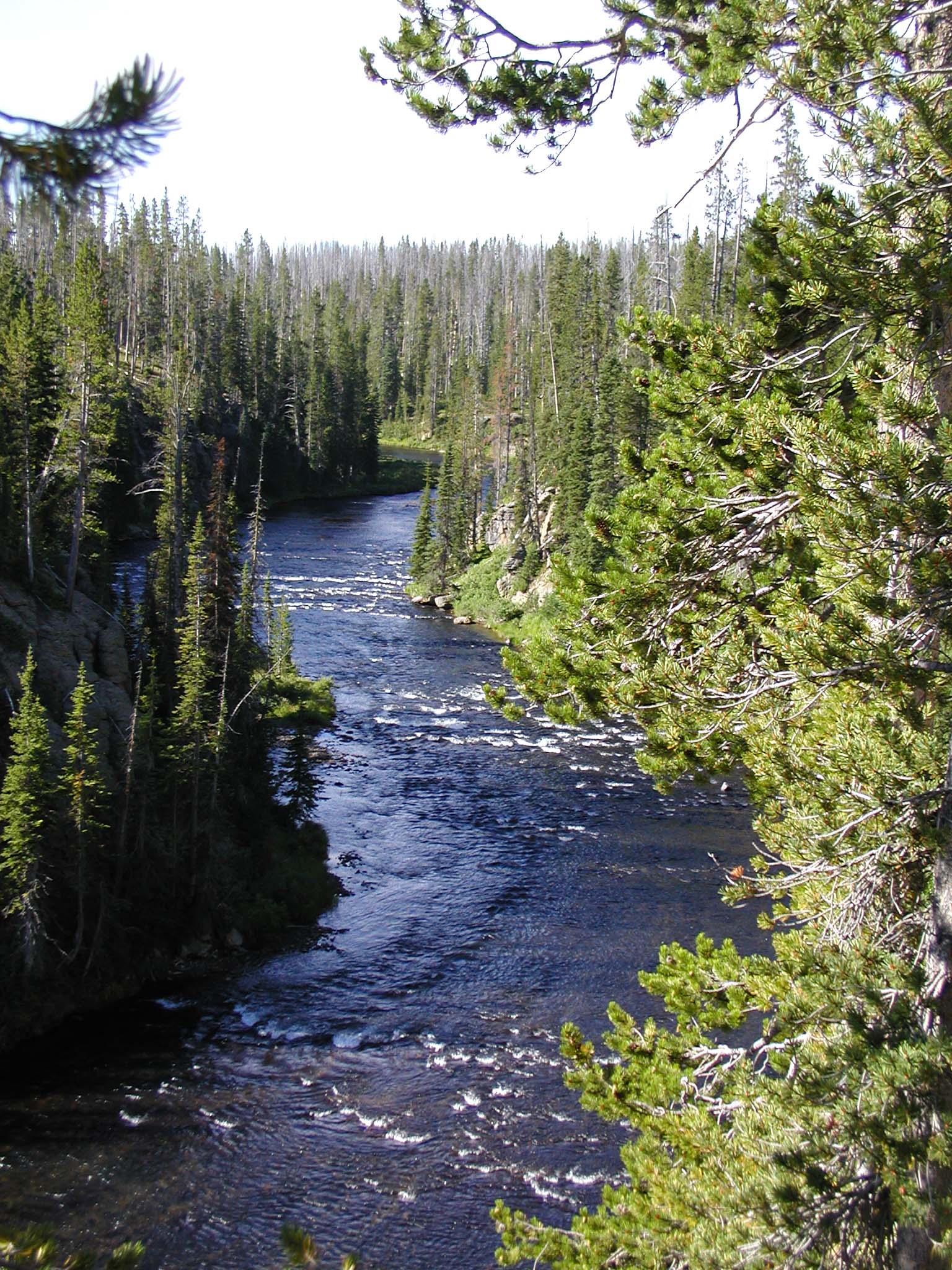 Snake River | Pics4Learning