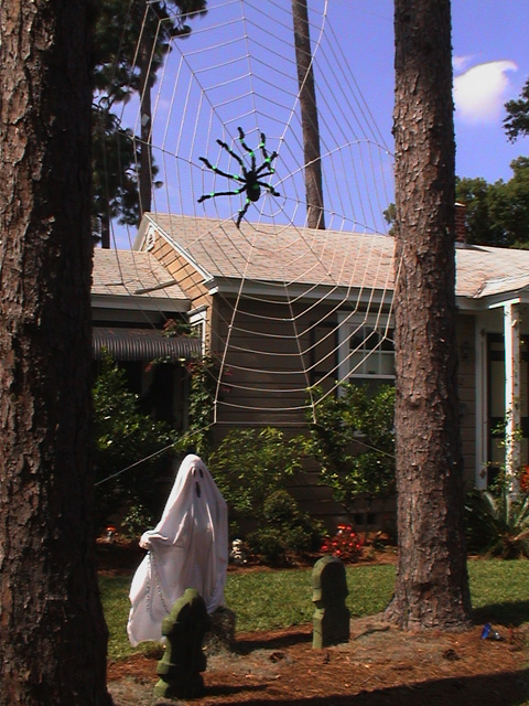 Halloween Spiderweb 3 | Pics4Learning