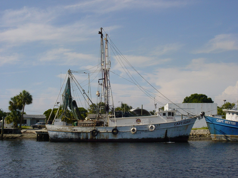 Sponge Boat | Pics4Learning