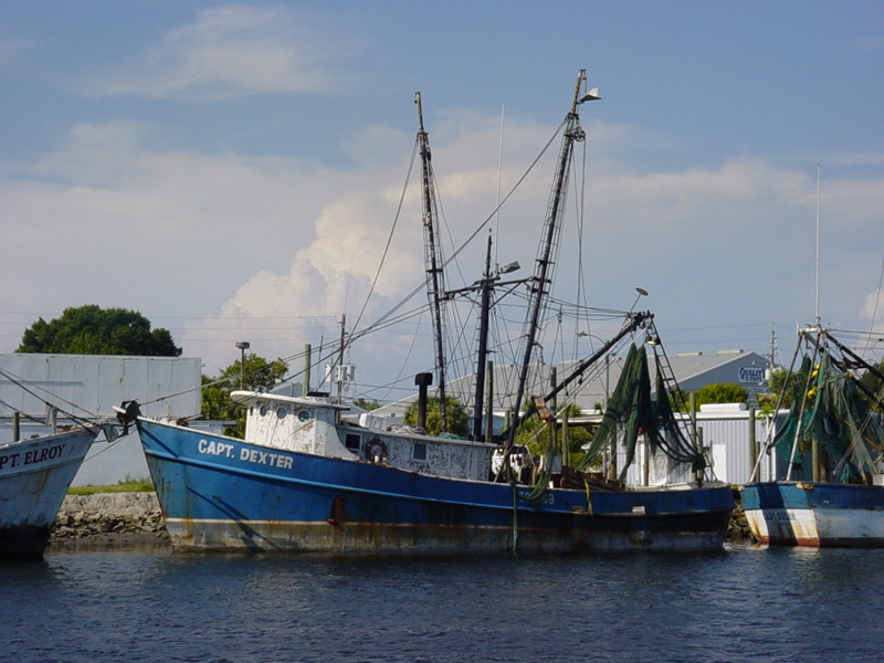 Sponge Boat | Pics4Learning