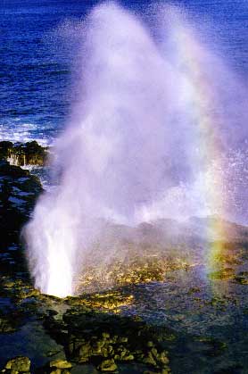 Rainbow | Pics4Learning