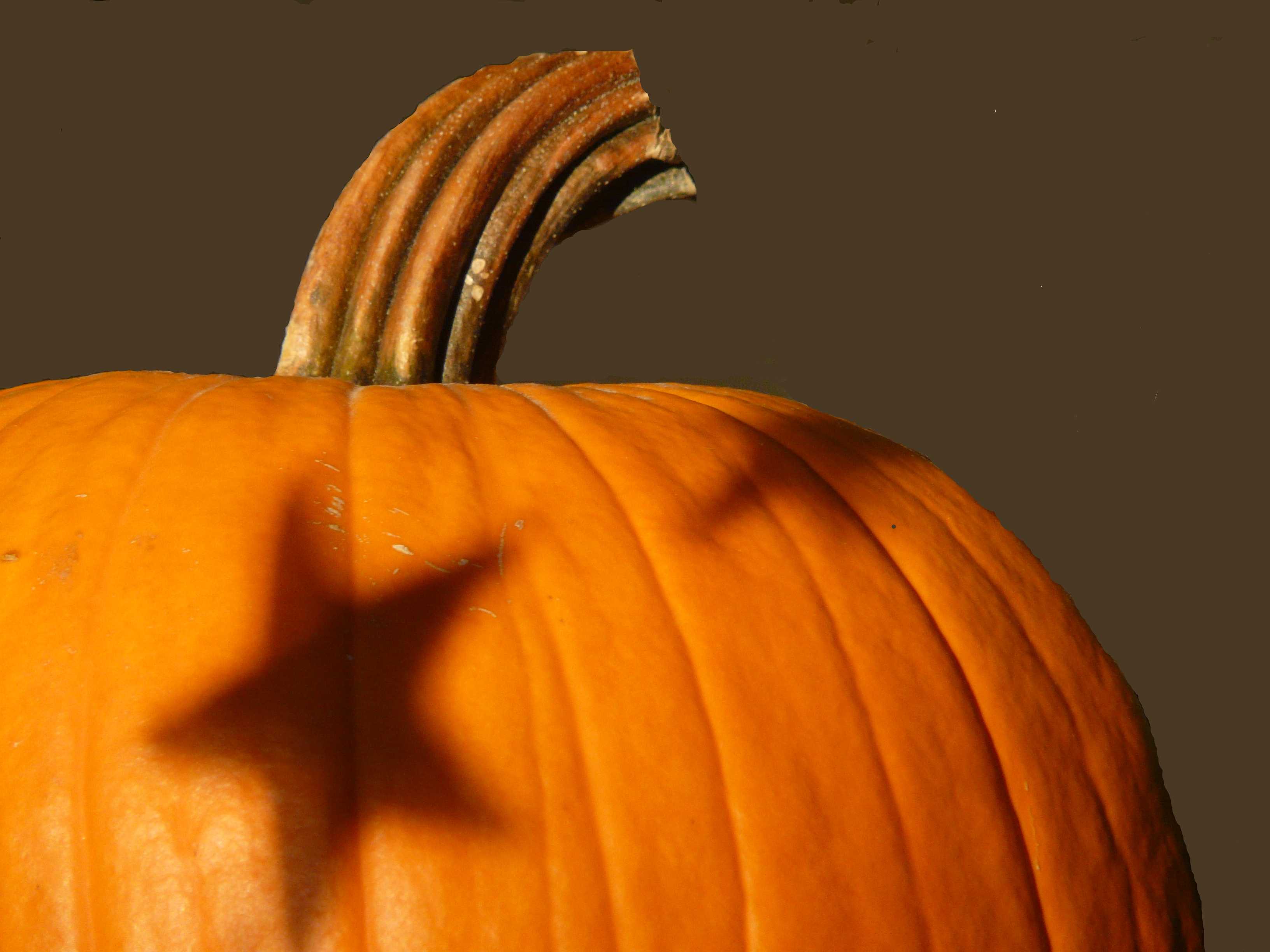 Star Shadow Pumpkin | Pics4Learning