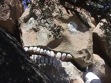 stone skeleton through the trees | Pics4Learning