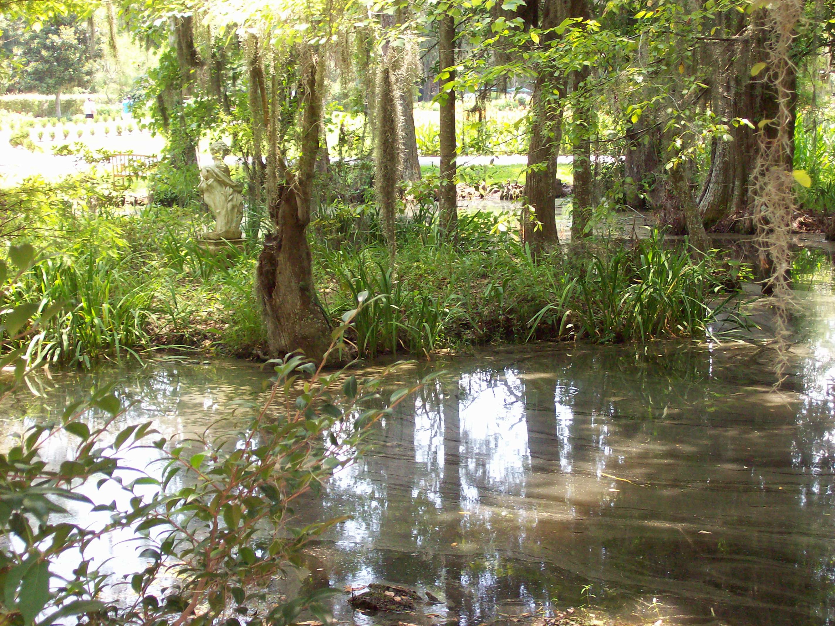Magnolia Plantation Swamp | Pics4Learning