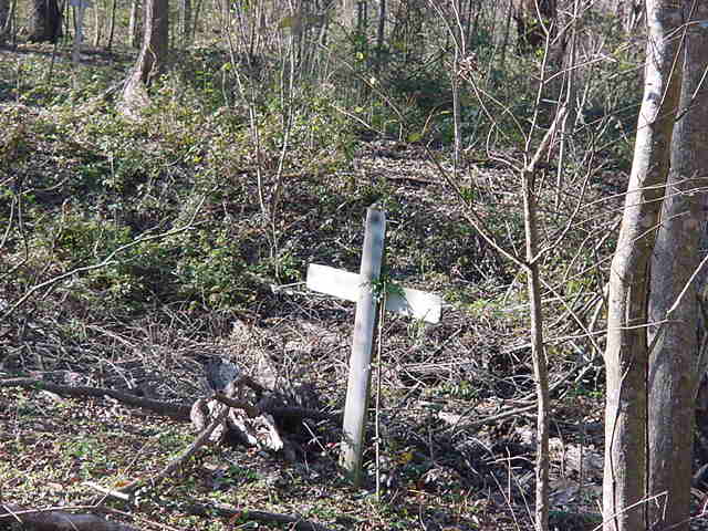 Swamp grave | Pics4Learning