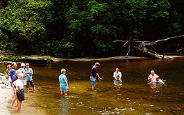 Wading in mountain stream | Pics4Learning