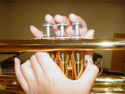 trumpet fingers | Pics4Learning